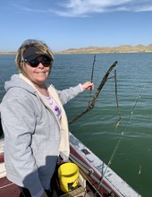 Cynthia Marie Curran - 2022 - Smith Funeral Chapel