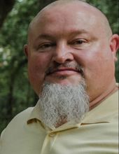 Tracey Haynes - Memories Trees