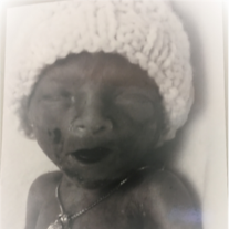 Mr Vada Rose Cheresko - 2018 - Funeral Homes of Michigan