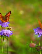 Jane Stiles - 2022 - P.L. Fry & Son Funeral Home