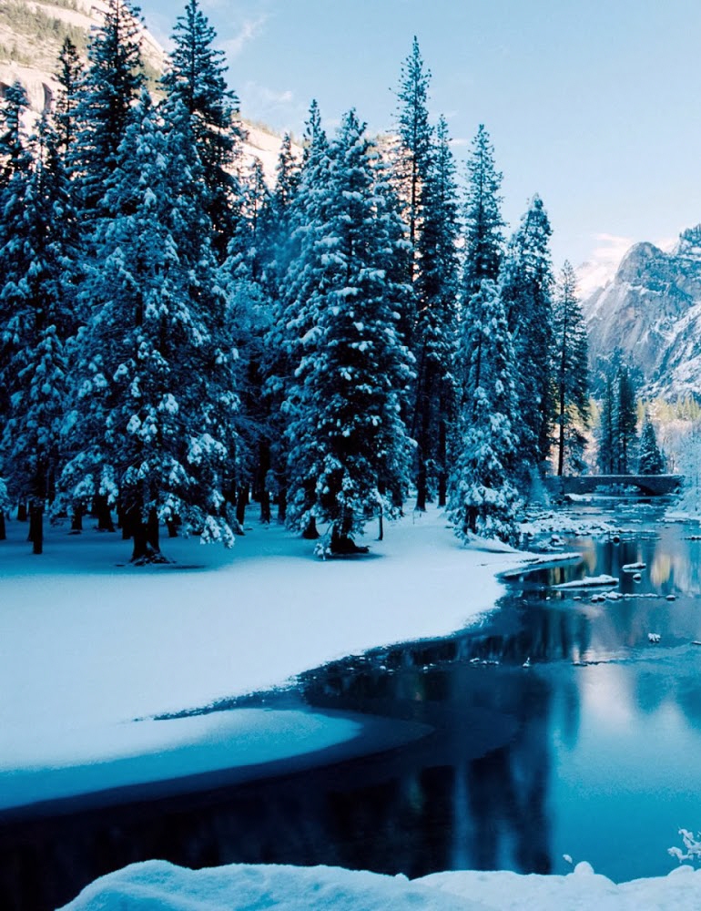 David Caliguiri - 2022 - Mangano Funeral Home - NY