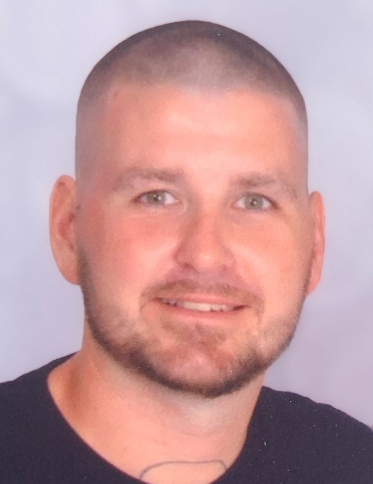 Daniel Riley - Memories Trees