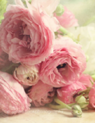 Rachael Rock Obituary - 2022 - P.L. Fry & Son Funeral Home