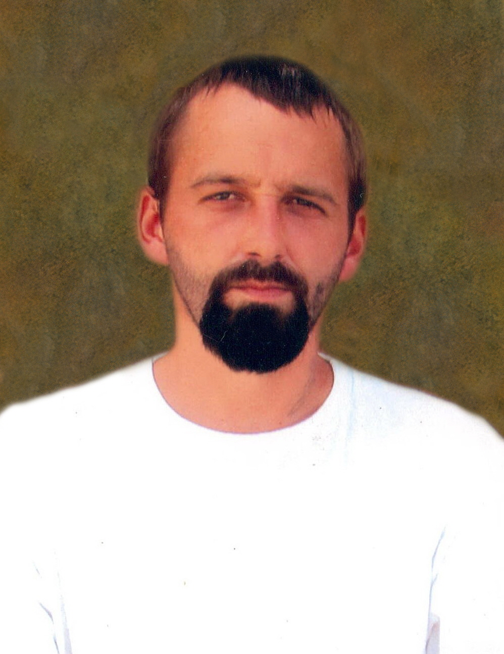 Terry Helm - Memories Trees