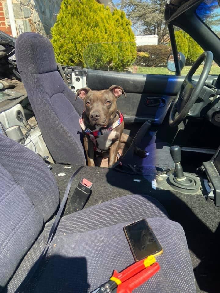 Zoey Rice - 2022 - Paw Prints Forever