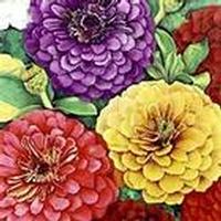 Susan J. Adams Graves - 2012 - Mae A Stump Funeral Home Inc