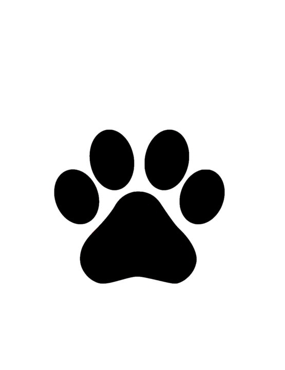 Bo Sparks - 2022 - Gracious Paws