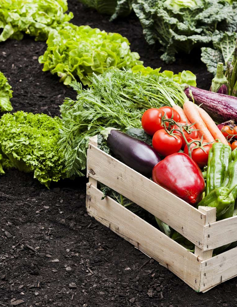 Chaur "Charlie" Ching Chen - 2022 - Saul Funeral Homes