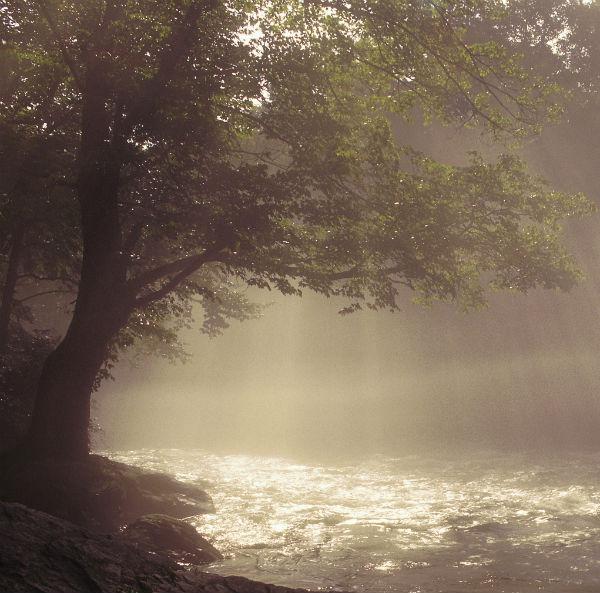 Doris Elizabeth Ridener - 2018 - Vankirk-Grisell Funeral Home