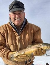 Timothy Wilcox - Memories Trees