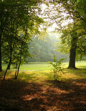 Stephen Lucas - 2022 - Ocker-Putman Funeral Homes