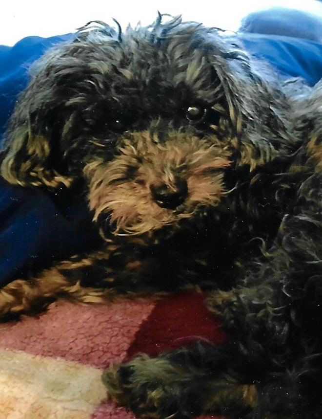 Lulu Skeels - 2022 - prvereb@aol.com