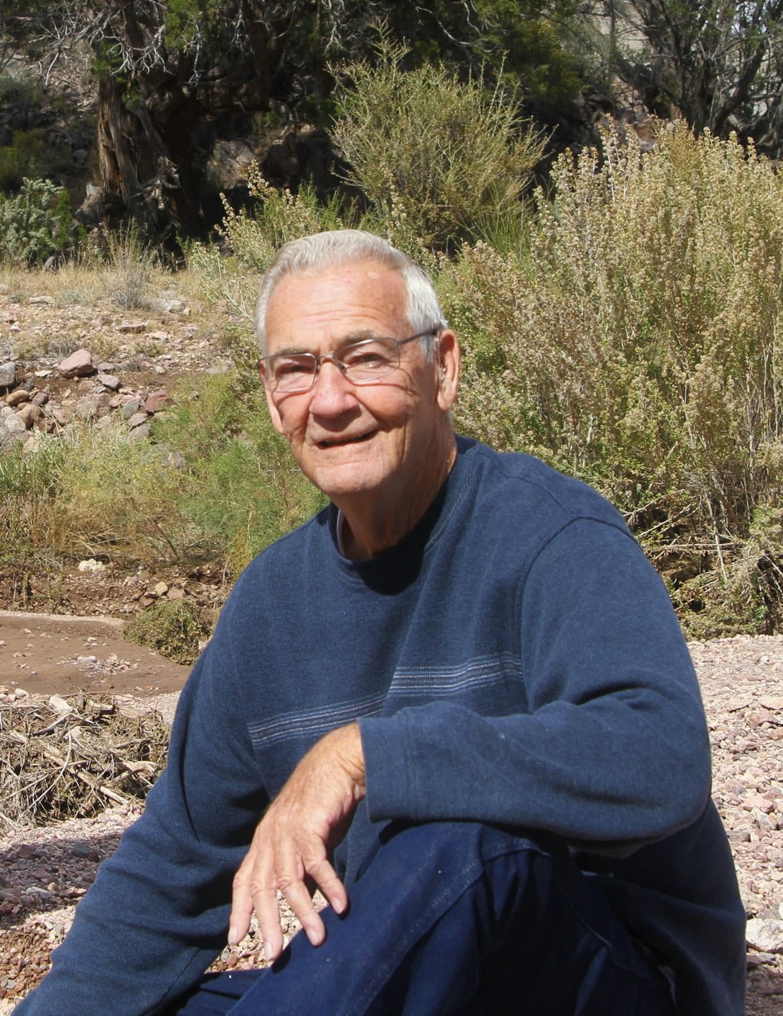 Danne Beason - Memories Trees