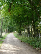 Travis E. Donald Garcia - 2022 - Diebold Funeral Holdings