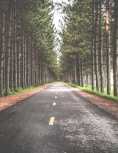 Lynch & Sons Funeral Directors • Brighton, MI