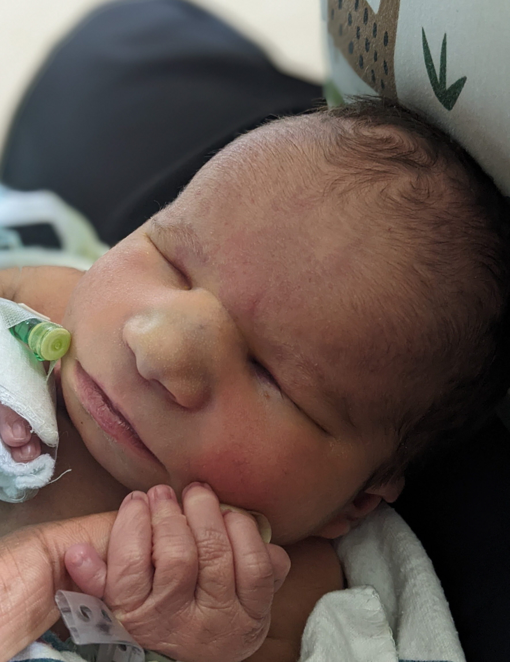 Nicholas A Harris Jr. - 2022 - Rob Rue