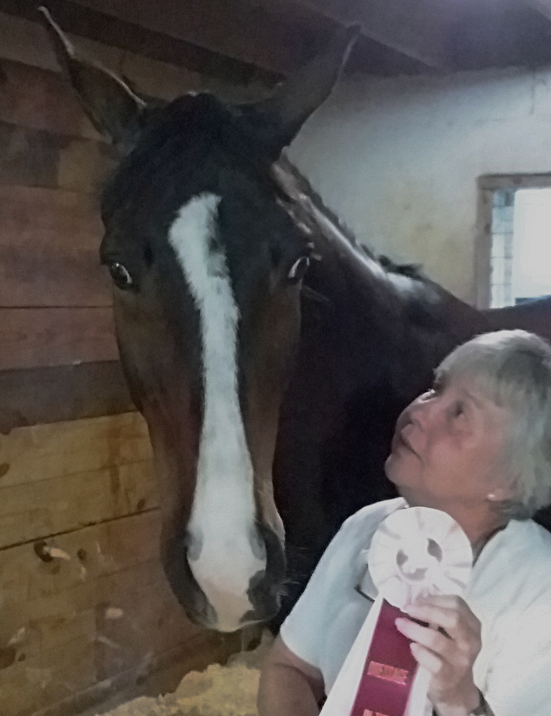 Denise Rowe - 2022 - Clements Funeral Service