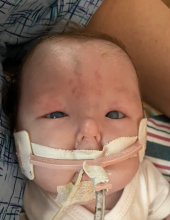 Salmon Funeral Home and Cremation Services | Rome, GA Funeral Home ...