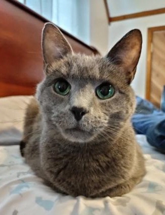 Mini Richards - 2022 - prvereb@aol.com