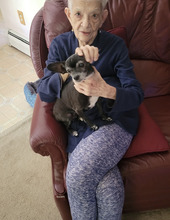 Marina Quesada - 2022 - Thomas C. Montera, Inc. Funeral Home