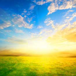 Sandra Kay Bruner - 2017 - Waddells Riverside Funeral Directors