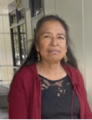 Adela Vasquez Ruiz Obituary - 2022 - Camino del Sol Funeral Home