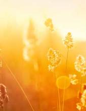 Vernon Neal Harmon - 2019 - Harrell Funeral Home