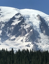 Elizabeth Anne Arcuri - 2022 - Castiglione Funeral Home