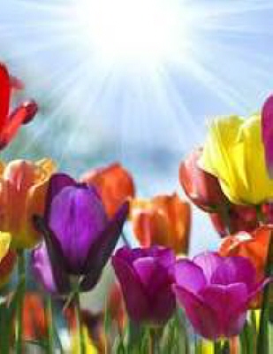 Marie Jacqueline Kirksey Obituary - 2012 - Harrell Funeral Home