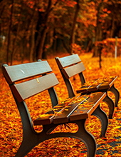 Bonnie Kay Lowry - 2022 - Adams Funeral Home & Cremation Service