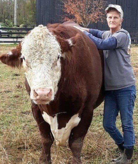 Sarah Stanfield - 2022 - Clark Legacy Center - Frankfort