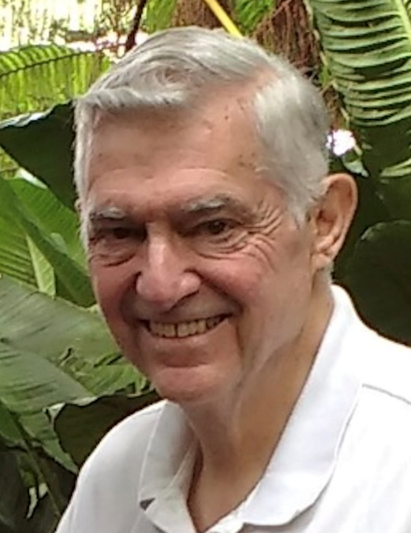 Robert Foster - Memories Trees