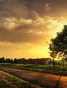 Calvin White - 2022 - Henson-Novak Funeral Directors