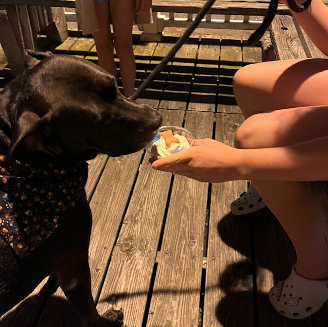 Max Morrow - 2022 - Paw Prints Forever