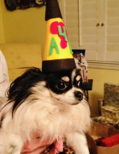 Pippi Longstocking Rust - 2022 - Columbia Pet Cremation Center