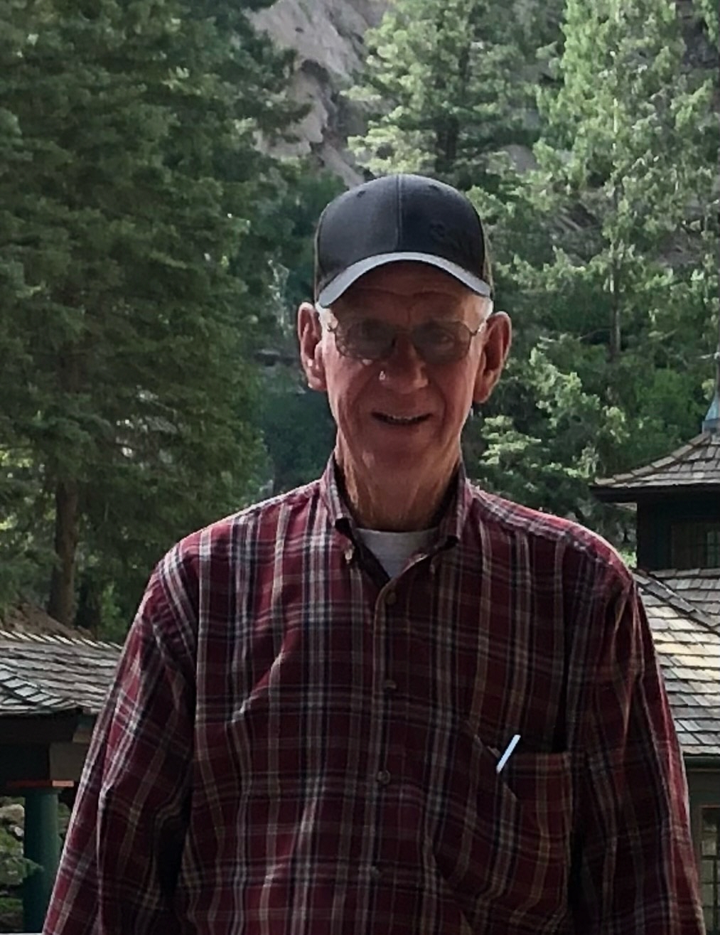 David Daugherty - Memories Trees