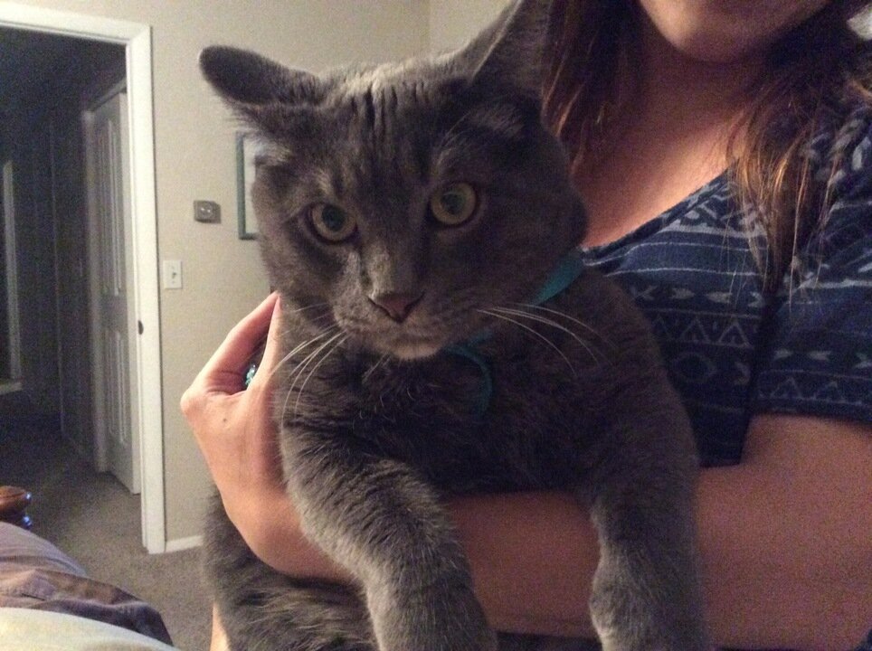 John-Charles Ryan Brannon - 2016 - Falconer Funeral Home