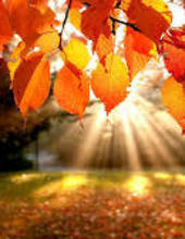 Matthew Jon Christ - 2022 - Hall's of Waldoboro