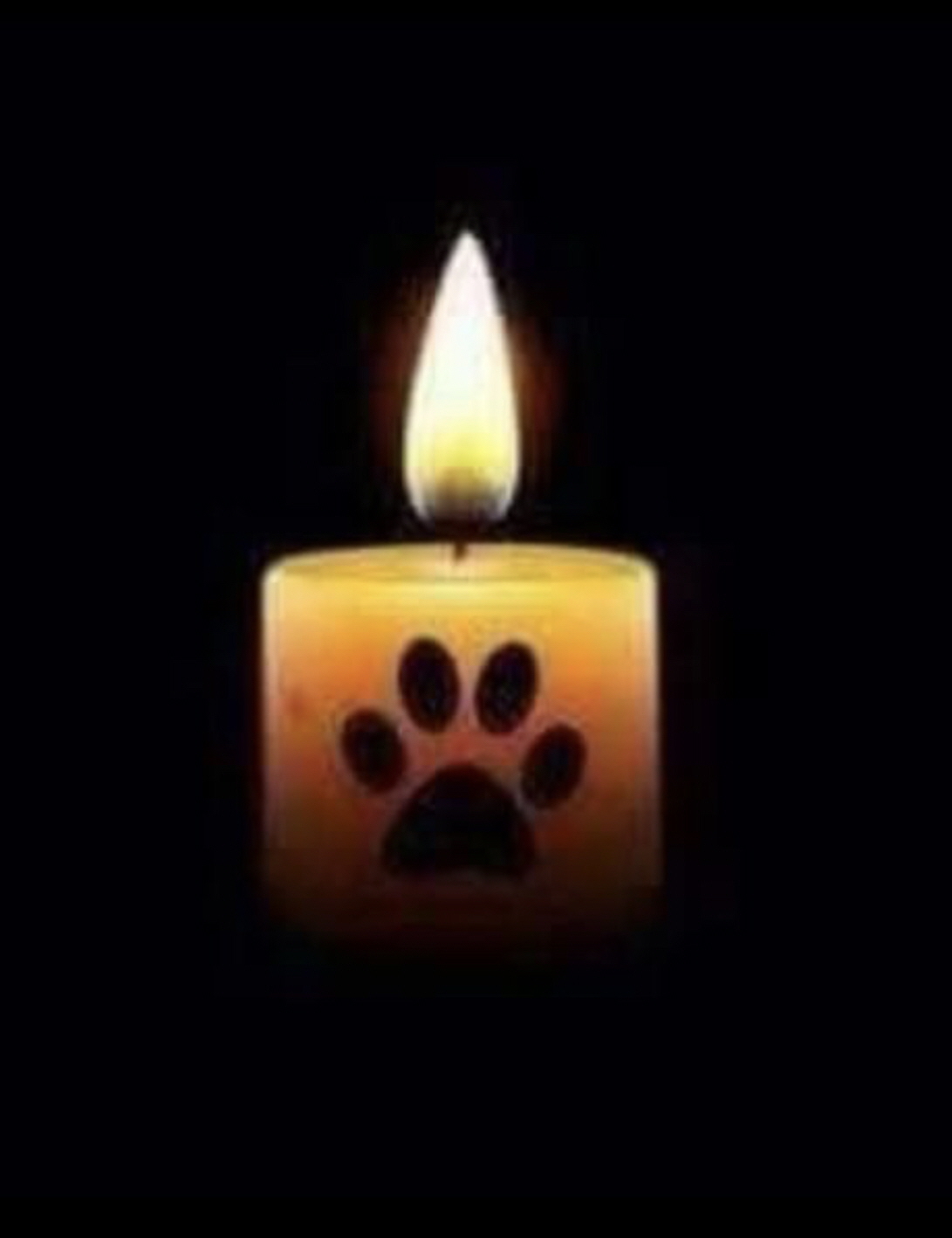 Isabella Patel - 2022 - Columbia Pet Cremation Center