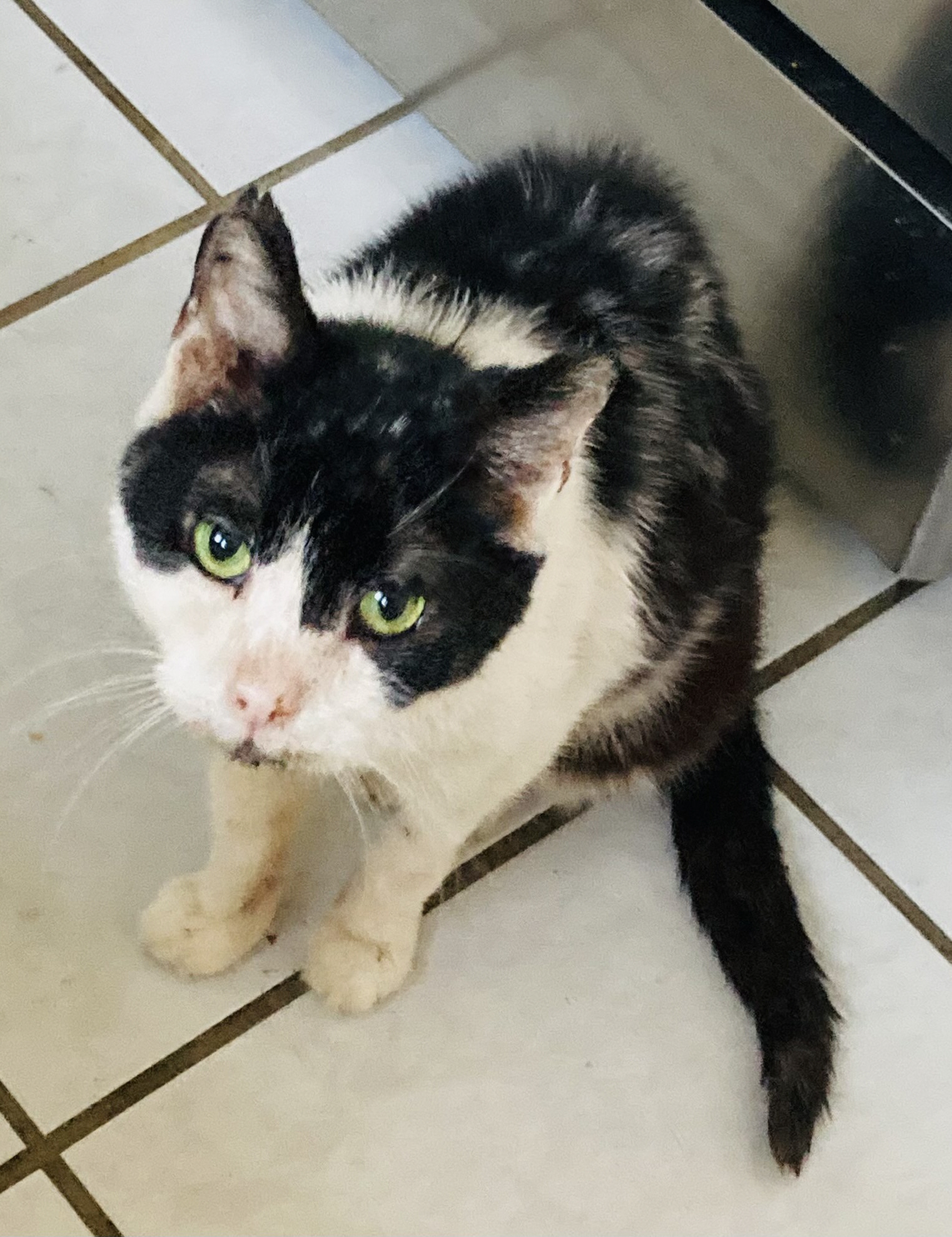 Eddie Schultz - 2022 - prvereb@aol.com