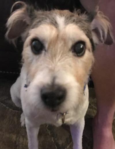 Jake Steele - 2022 - prvereb@aol.com