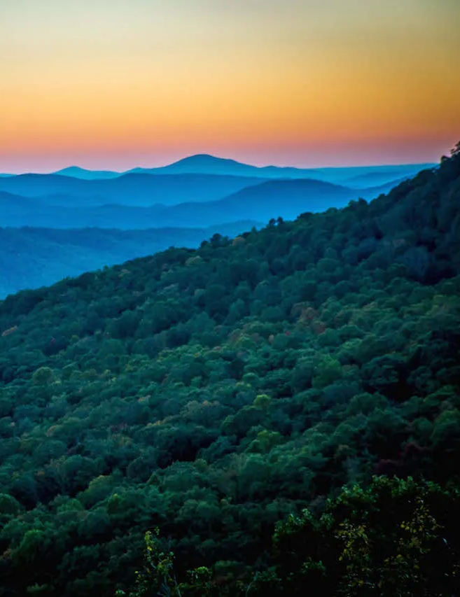 Richard John Vanderslice - 2022 - A Better Cremation