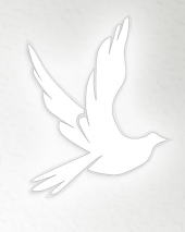 Ron Hembree Obituary - 2016 - West Hills Memorial Park