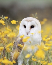 James R. DeGroat Obituary - 2021 - Acacia Park Cemetery