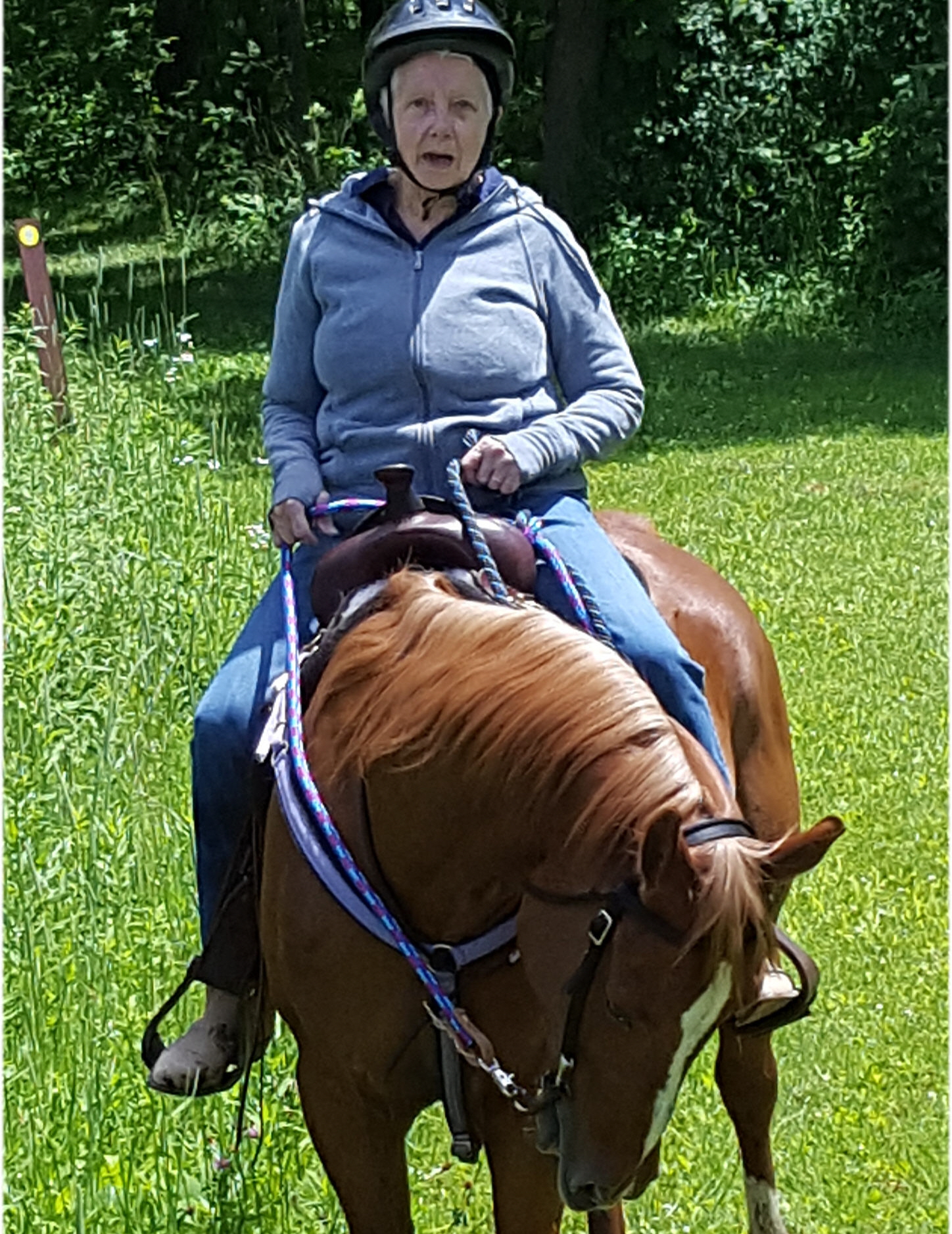 Sandra Ann Bishop - 2022 - Church & Chapel Funeral Services and ...