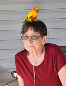 Patricia (Pattie) Joy Colvin - 2022 - Wood Funeral Home & Crematory