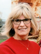 Obituary information for Shirley Ann Metzler