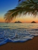 Sharon Sue Eiserman - 2020 - Crates Funeral Home & Cremation Services