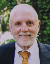 Dr. David Michael Brody 26697299