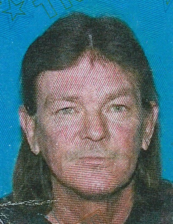 Robert Ellison - Memories Trees